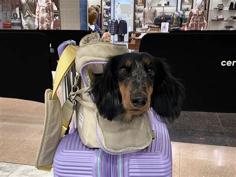 Which Data File Format To Use Csv Json Parquet Avro Orc By Boonjira Angsumalee Blue