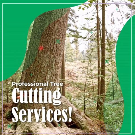 Elmo Landscaping And Tree Services Elmolandscaping • Instagram Photos And Videos