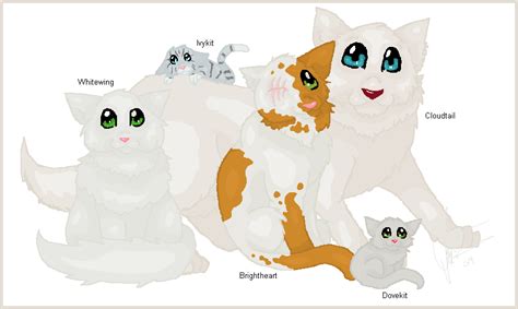 Warrior Cats Brightheart And Cloudtail Kit