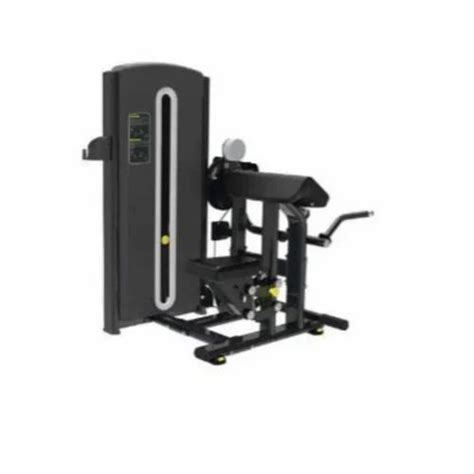 Bicep Curl Machine KG Size X X Mm At Piece In Coimbatore