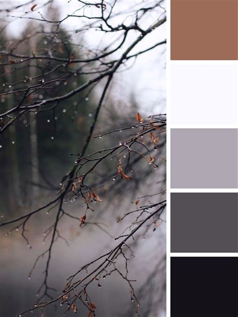 Gray Color Palette Серая цветовая палитра Нейтральные цветовые палитры Цвета покраски дома