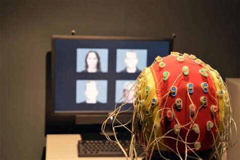 Working Memory Intelligence And The Neural Efficiency Hypothesis