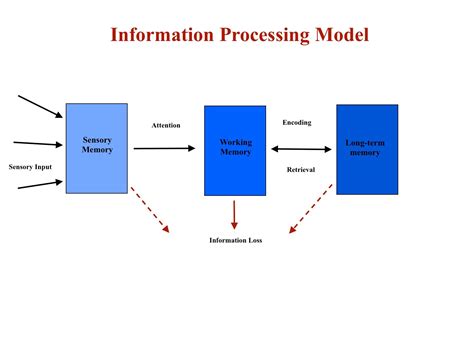 Information Processing Information Processing Theory Teaching Reading