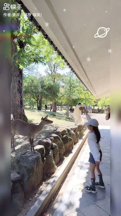 ゆい奈良 シカ 奈良公園 奈良公園の鹿ちゃんに鹿せんべいあげたよ☺️ Youtube