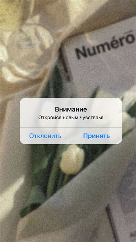 Шаблон для сторис Эстетика Уведомление You Are Invited Incoming Call Screenshot Chat