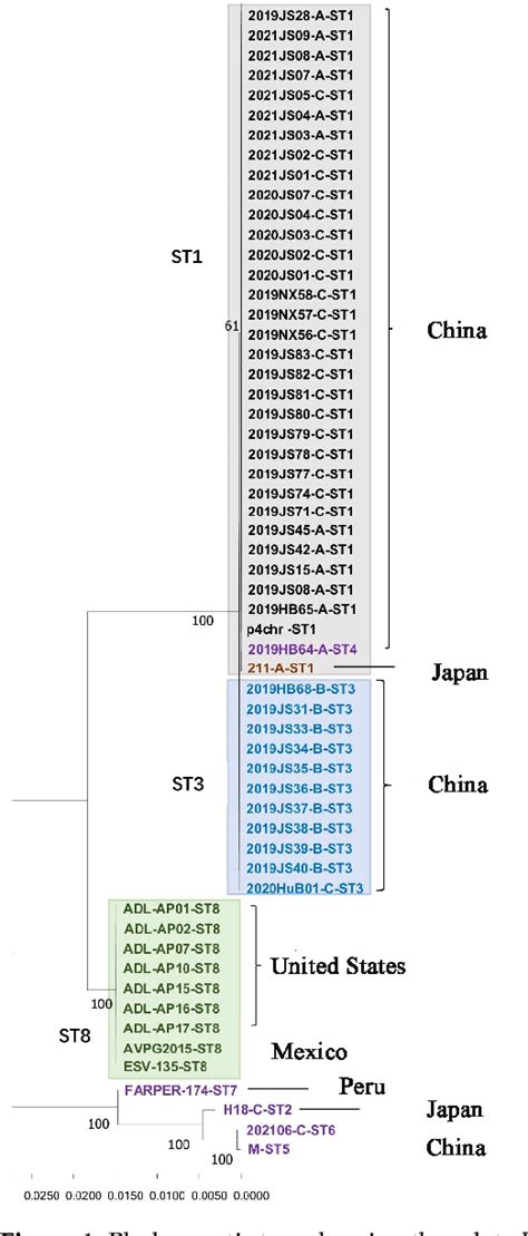 Figure 1 From Establishment Of A Multilocus Sequence Typing Scheme For