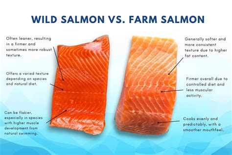 Wild Salmon Vs Farmed Salmon Fish Farm Escapes Fisheries