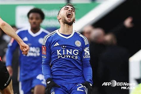 ‘동화 우승 여우 군단 레스터 시티 프리미어리그 컴백 확정강등 1년 만에 승격