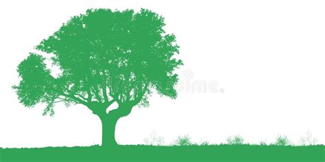 Tree Forms Stock Illustrations 6 384 Tree Forms Stock Illustrations Vectors And Clipart