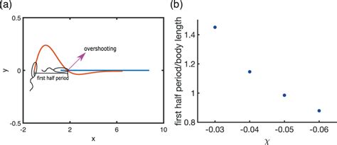 Two Swimmers With Different Initial Direction Two Pushers β − 2 Download Scientific Diagram