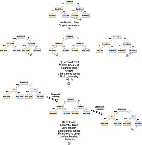 Decision Treerfxgboost Working As Ai Scientist In Biotech By