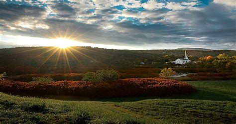 Empowering Communities Through Suicide Prevention Globalgiving