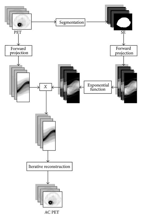 Schematic Diagram Of Se Ac Method Described In Section 2 3 2