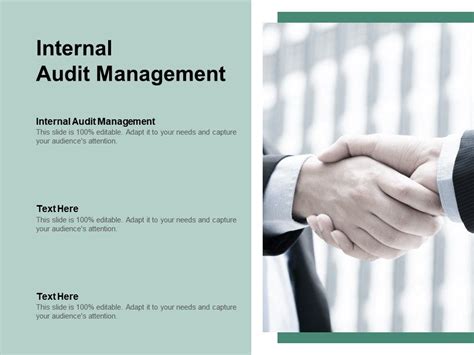 Internal Audit Management Ppt Powerpoint Presentation Inspiration