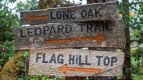 Streamlining Microservices Testing With Platform Engineering The New