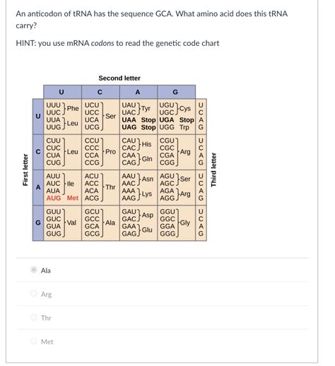 Solved An Anticodon Of Trna Has The Sequence Gca What Amino