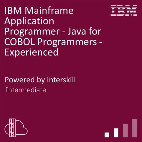Access Mainframe Application Developer 201 Interskill Learning