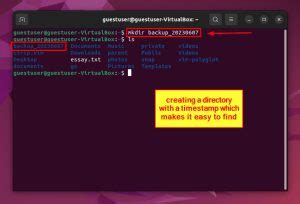 Create A Directory In Linux Using Mkdir Command Best Methods