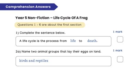 Year 5 Non Fiction Reading Comprehension Worksheets With Key Stage 2 Content Domain Coverage