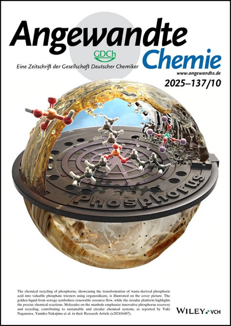 Unconventional Interconnected High‐entropy Alloy Nanodendrites For Remarkably Efficient C−c Bond