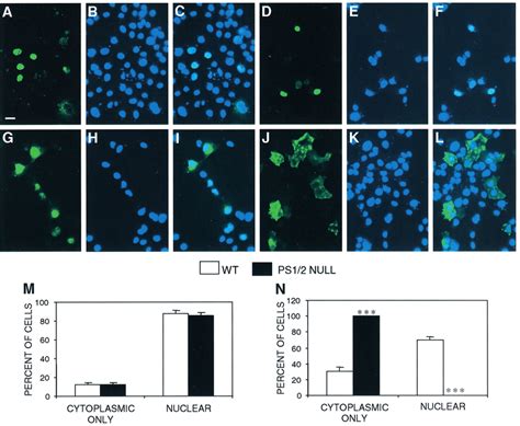 Subcellular Localization Of Membrane Tethered And Non Membrane Tethered
