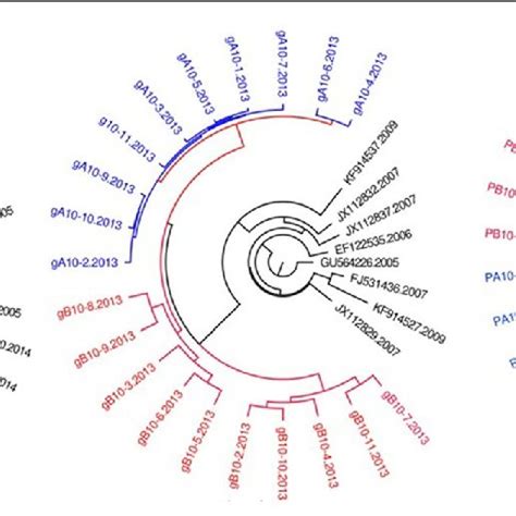 Mcmc Tree For The Env Gag And Pol Gene Dataset Of Couple 12 Using