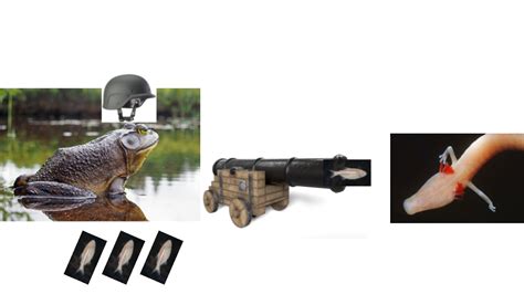 Olm Execution R Deeeepio