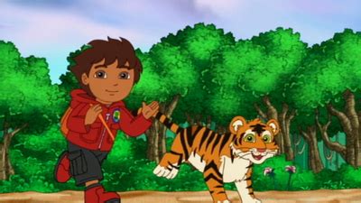 Watch Go Diego Go Season 4 Episode 3 Where Is Okapis Brother