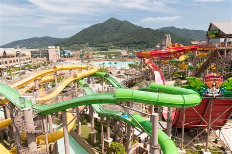 경남 김해 롯데워터파크 입장권 Funbooky