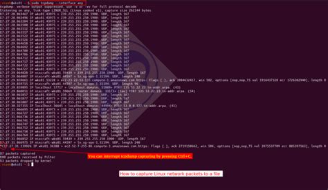 How To Capture Linux Network Packets To A File NixCraft