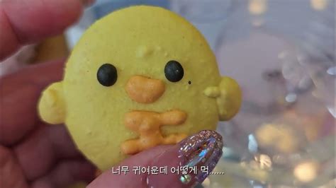 플리로그 생일카페원래 이런거였어 Youtube
