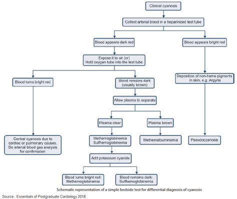 Cyanosis The Blue Hue Mystery Manual Of Medicine