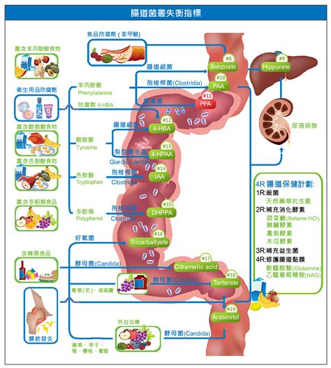 健康醫學促進中心 永越健康管理中心