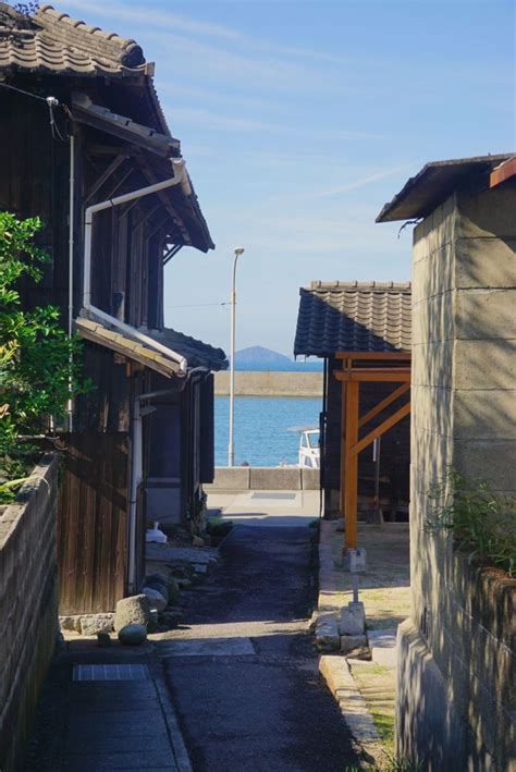 🇯🇵여유롭게 혼자 떠난 1박2일 다카마쓰 여행 트리플 나를 아는 여행 앱