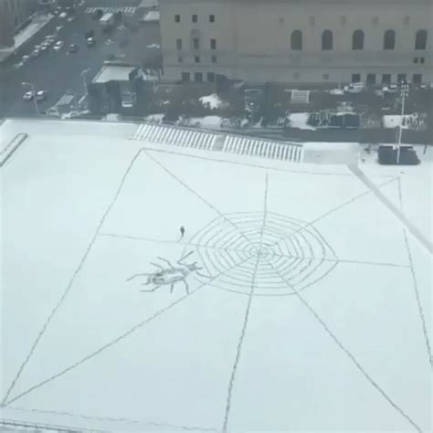 spotted a web developer r programmerhumor