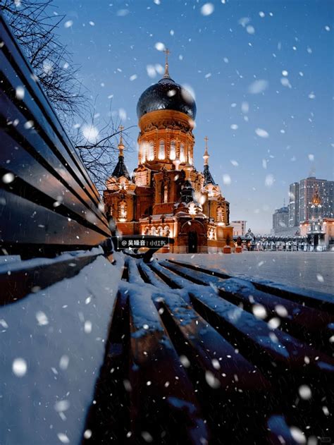 今年冬天总要去哈尔滨，感受漫天浪漫雪景 ️ 花瓣网