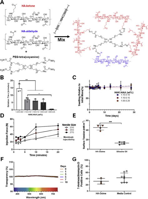 多伦多大学《biomaterials》稳定的肟交联透明质酸 聚乙二醇水凝胶作为仿生玻璃体替代物 知乎