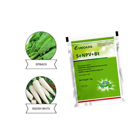 Effective Pesticide For Cabbage Worms Caterpillars 100 Natural Safe