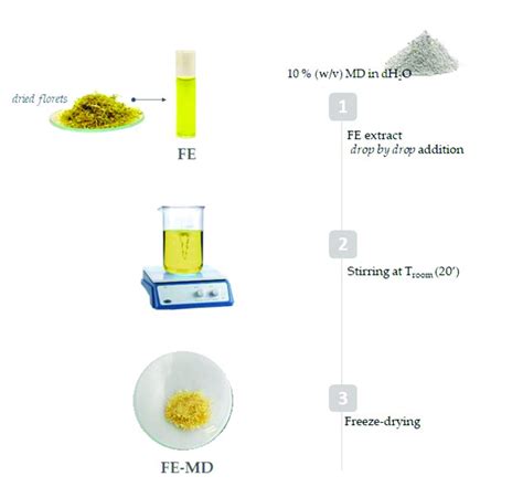 encapsulation scheme applied to field marigold floret extract md download scientific diagram