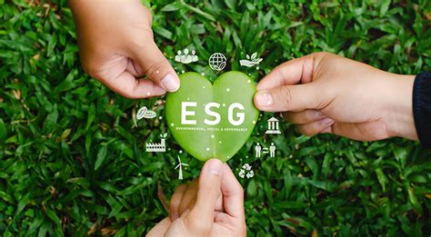 Gs칼텍스 공급망 Esg 관리 강화 나선다 Gs칼텍스 미디어허브