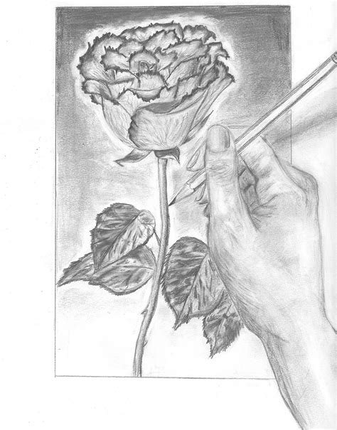 رسومات