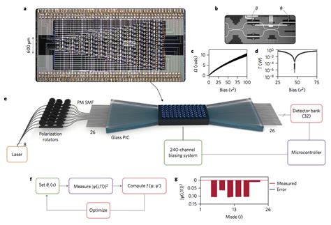 Quantum Transport Simulations In A Programmable Nanophotonic Processor Rle At Mit