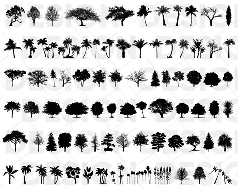 80 TREE SVG BUNDLE Tree Graphic Bundle Forest Camping Etsy