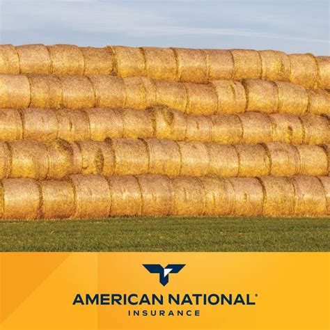 Did You Know That American National Also Offers Agribusiness Related… Jonathan Killian