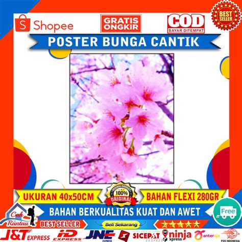 Harga Poster Bunga Sakura Terbaru Jul 2025 Biggo Indonesia