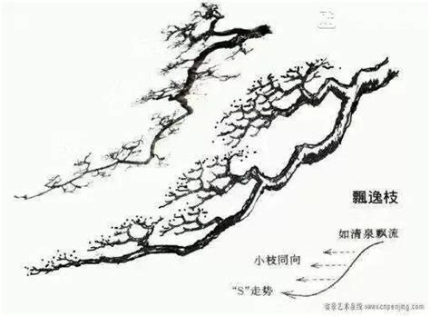這10個杜鵑花品種，養一次就上癮，花一開都看不見葉 每日頭條