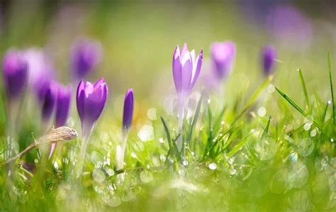 Forårsklar Sådan Starter Du året Med Nye Bæredygtige Vaner Nexuz Dk