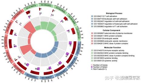 套路九 免疫原性死亡 单细胞 知乎
