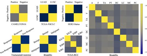 Eswa 2023 Promil A Weakly Supervised Multiple Instance Learning For