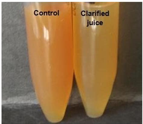 Pectinase Production By Aspergillus Niger And Its Applications In Fruit Juice Clarification